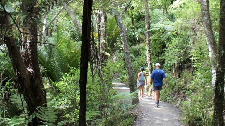 Our Vision | Paerata Rise