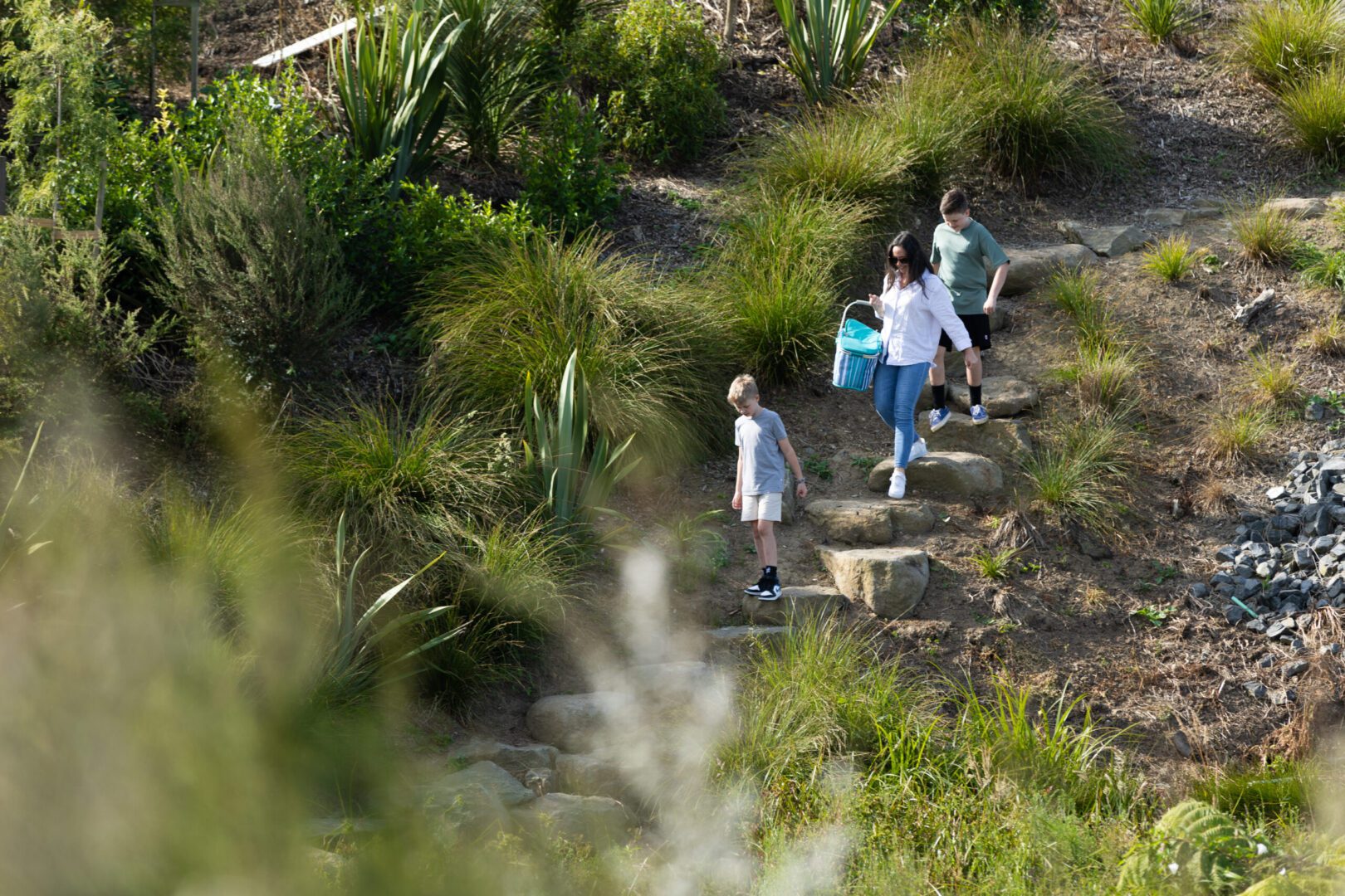 Walks & Trails | Paerata Rise