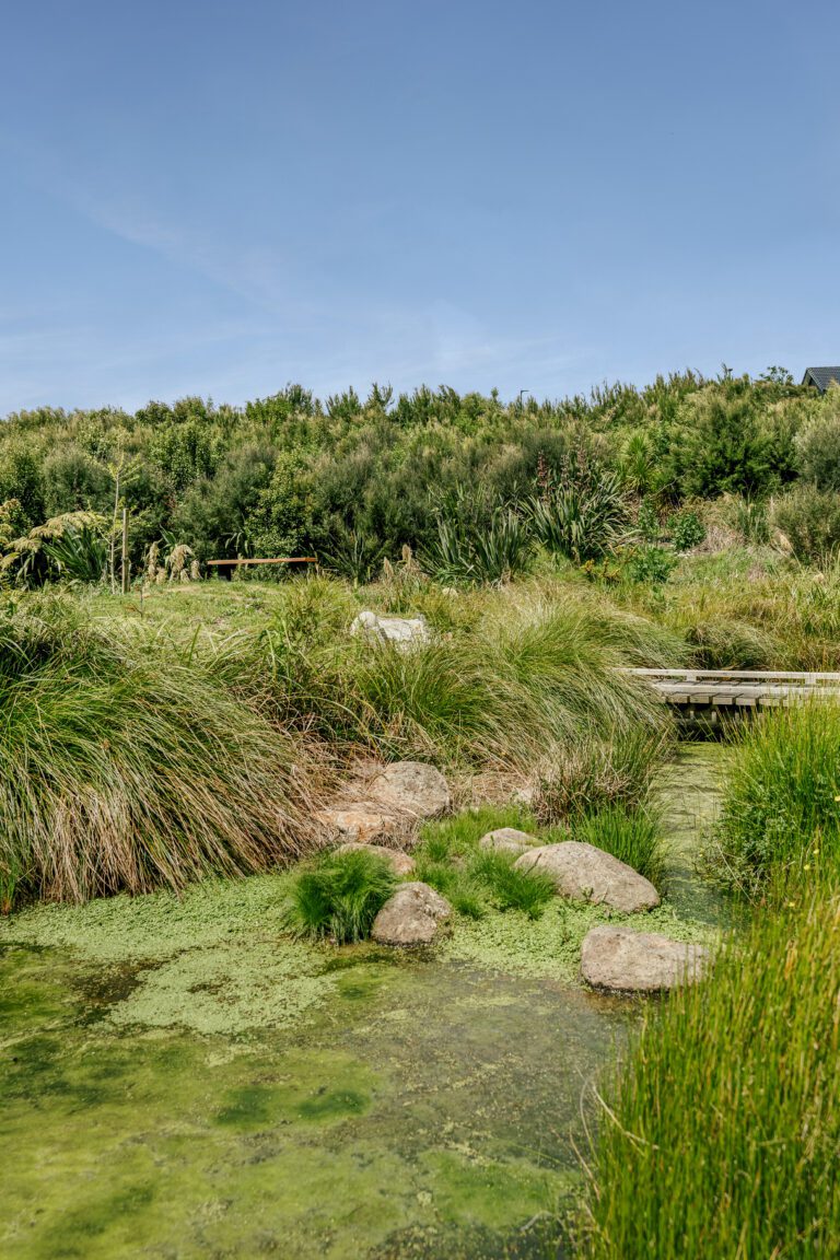 Gallery | New Style Homes In Auckland, NZ | Paerata Rise