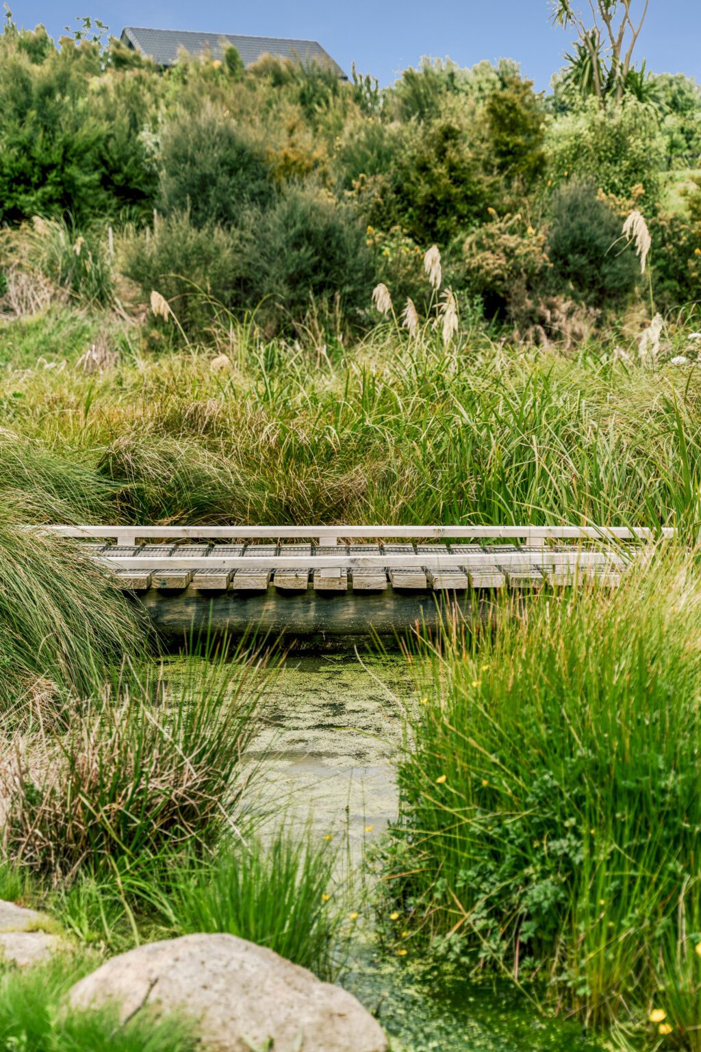 Gallery | New Style Homes In Auckland, NZ | Paerata Rise