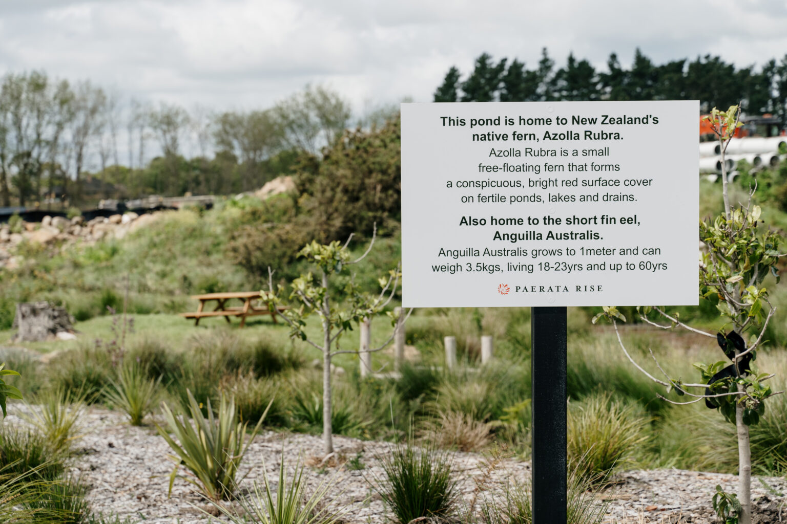 Gallery | New Style Homes In Auckland, NZ | Paerata Rise