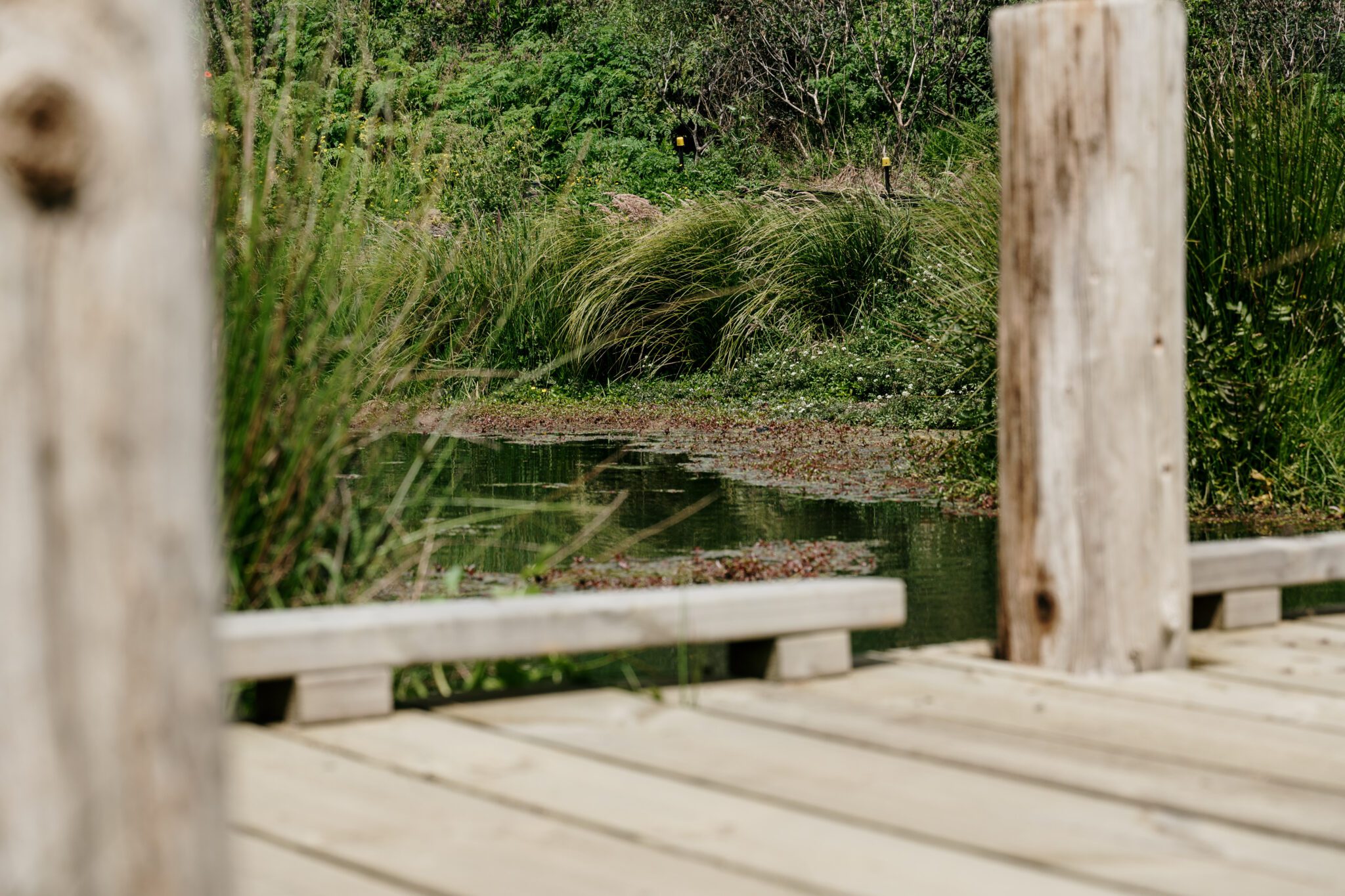 Gallery | New Style Homes In Auckland, NZ | Paerata Rise